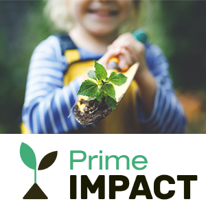 Prime Impact